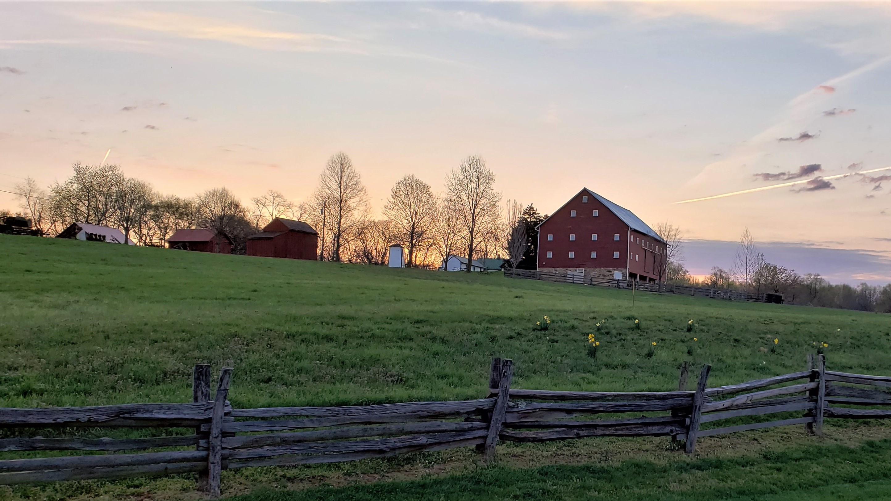 Spring.jpg | University of Maryland Extension