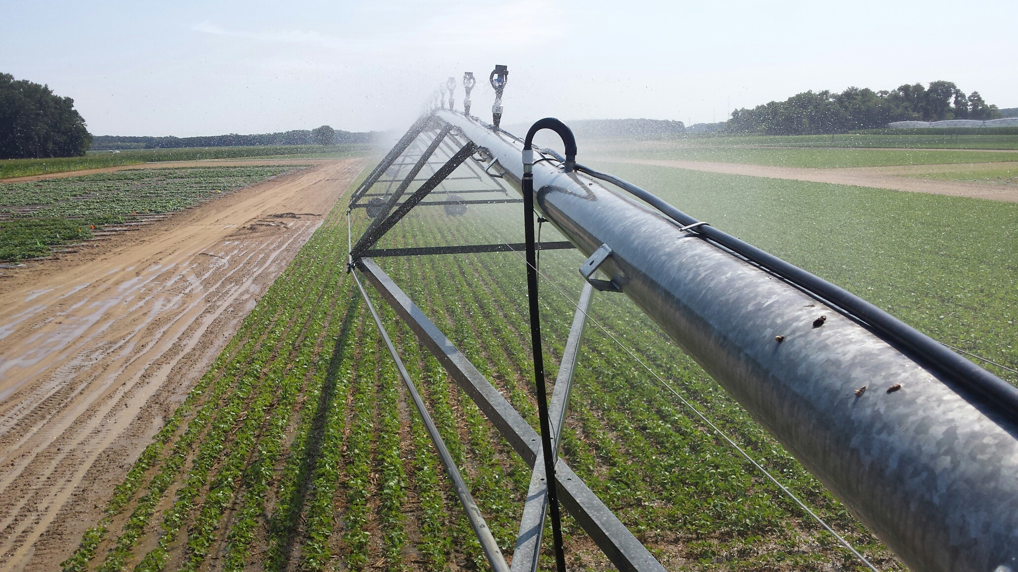 irrigation sytem.jpeg | University of Maryland Extension