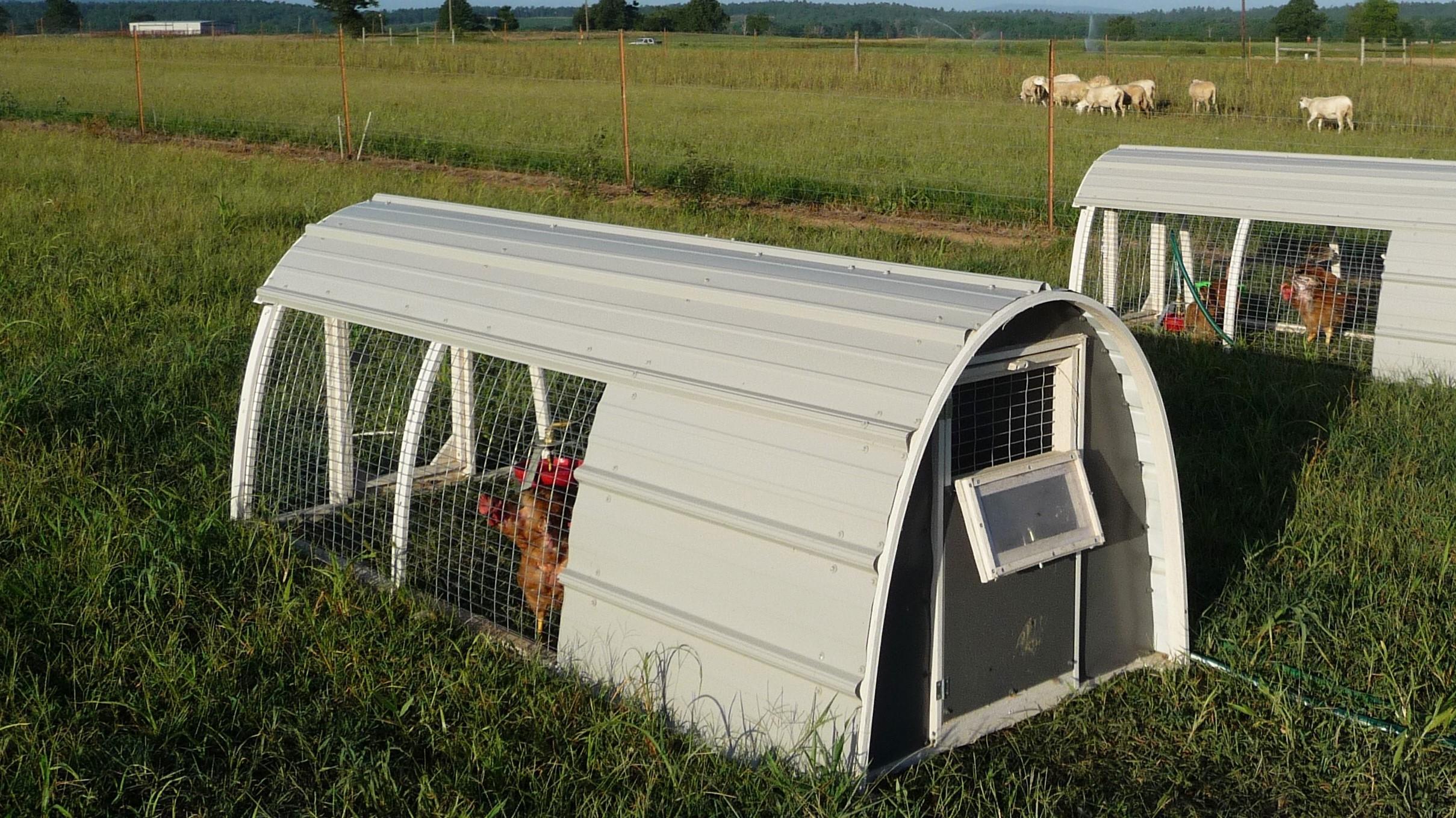 Isolation | University of Maryland Extension