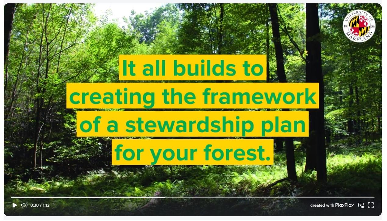 AI and your Woodlands: Not There (Not Yet) | University of Maryland ...