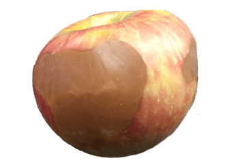 Causes and Prevention of Chilling Injury in Honeycrisp Apples ...